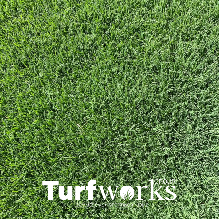 Tahoma 31 – Turfworks Group